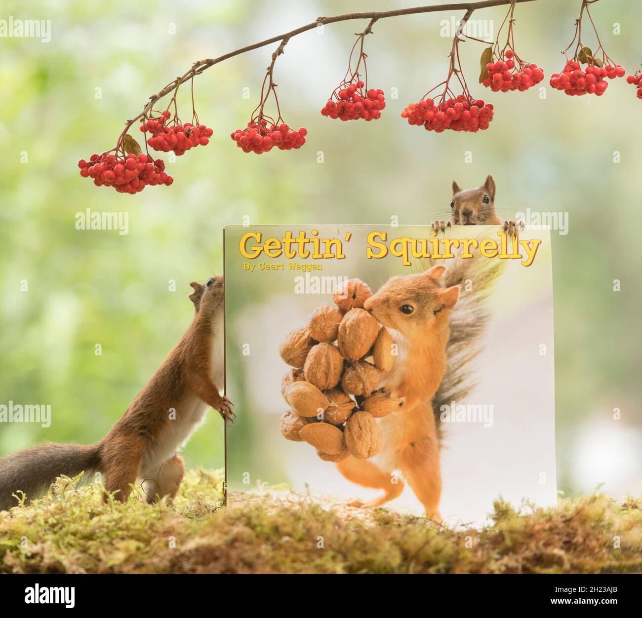 Willowcreek hi-res stock photography and images - Alamy