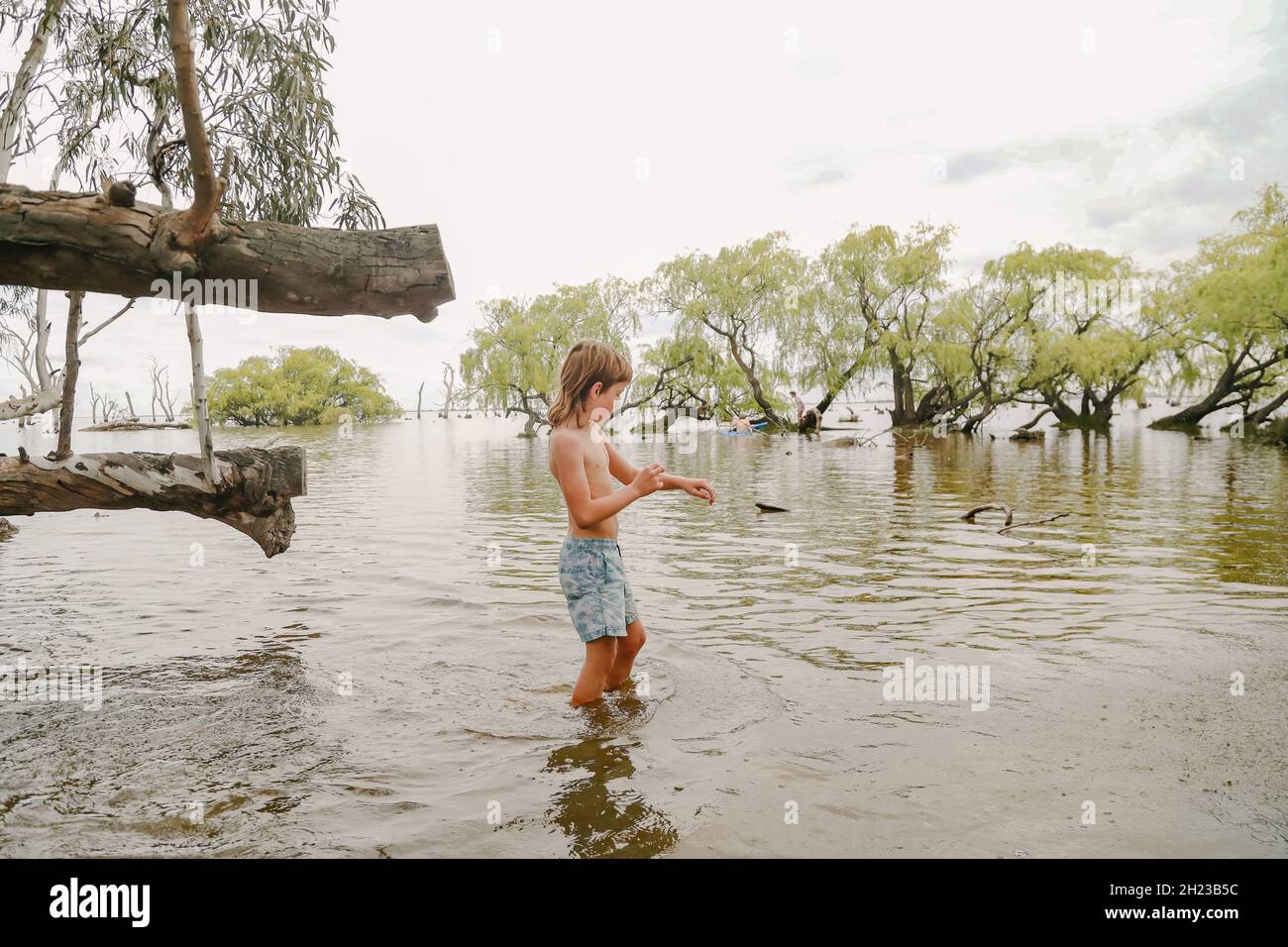 Kow swamp australia hi-res stock photography and images - Alamy