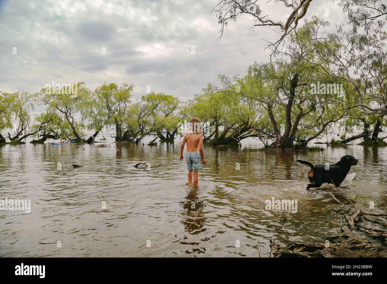 Kow swamp australia hi-res stock photography and images - Alamy