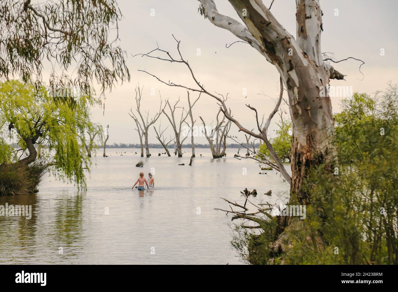 Kow swamp australia hi-res stock photography and images - Alamy
