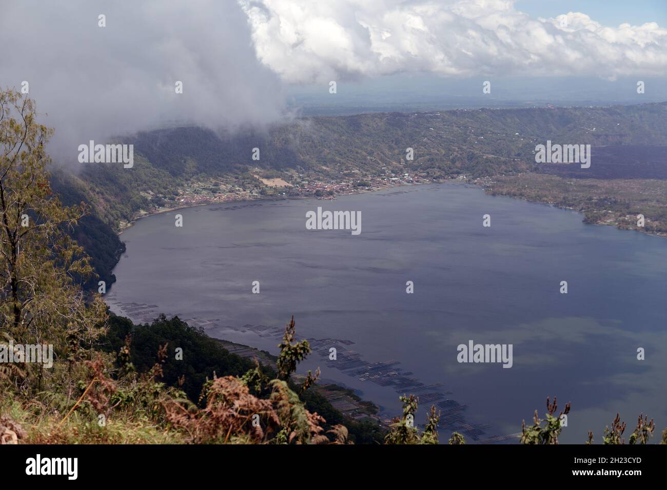 Amazing summer forest aerial top hi-res stock photography and images ...