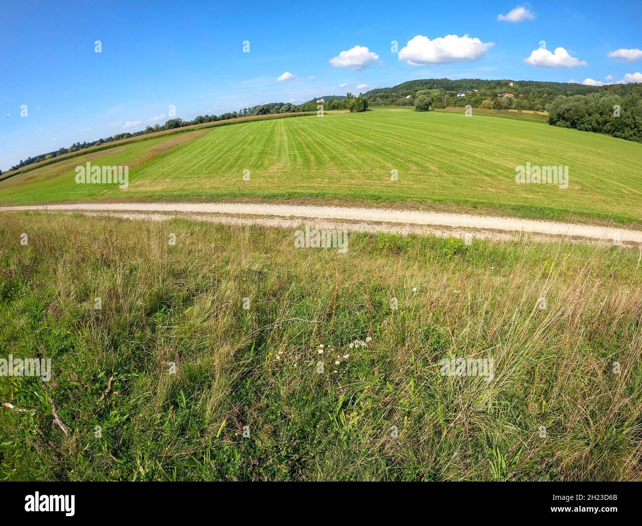 Landscape of unpaved road on the meadow under a cloudy sky Stock Photo ...