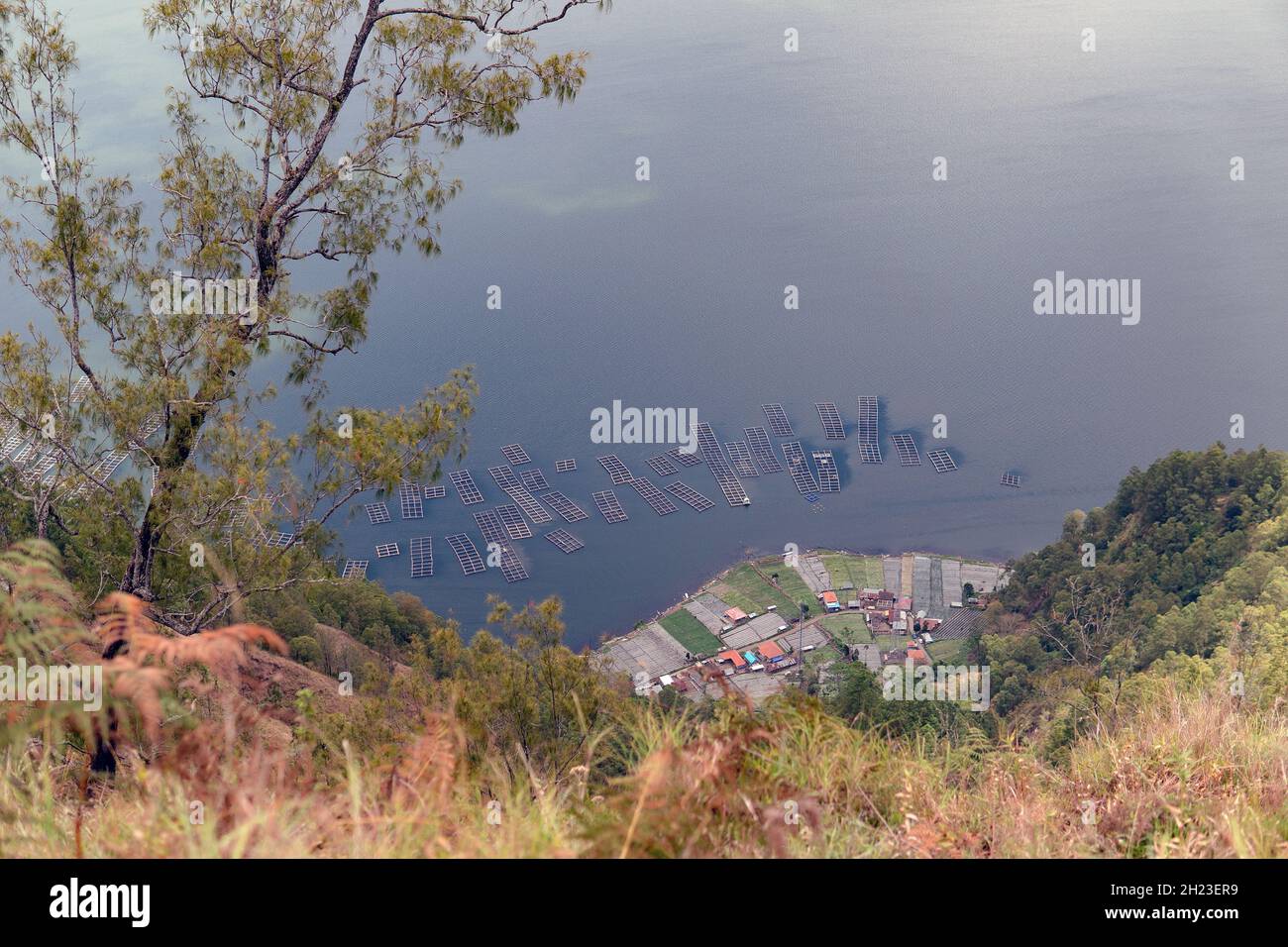 amazing view from the volcano. bali forest Stock Photo - Alamy