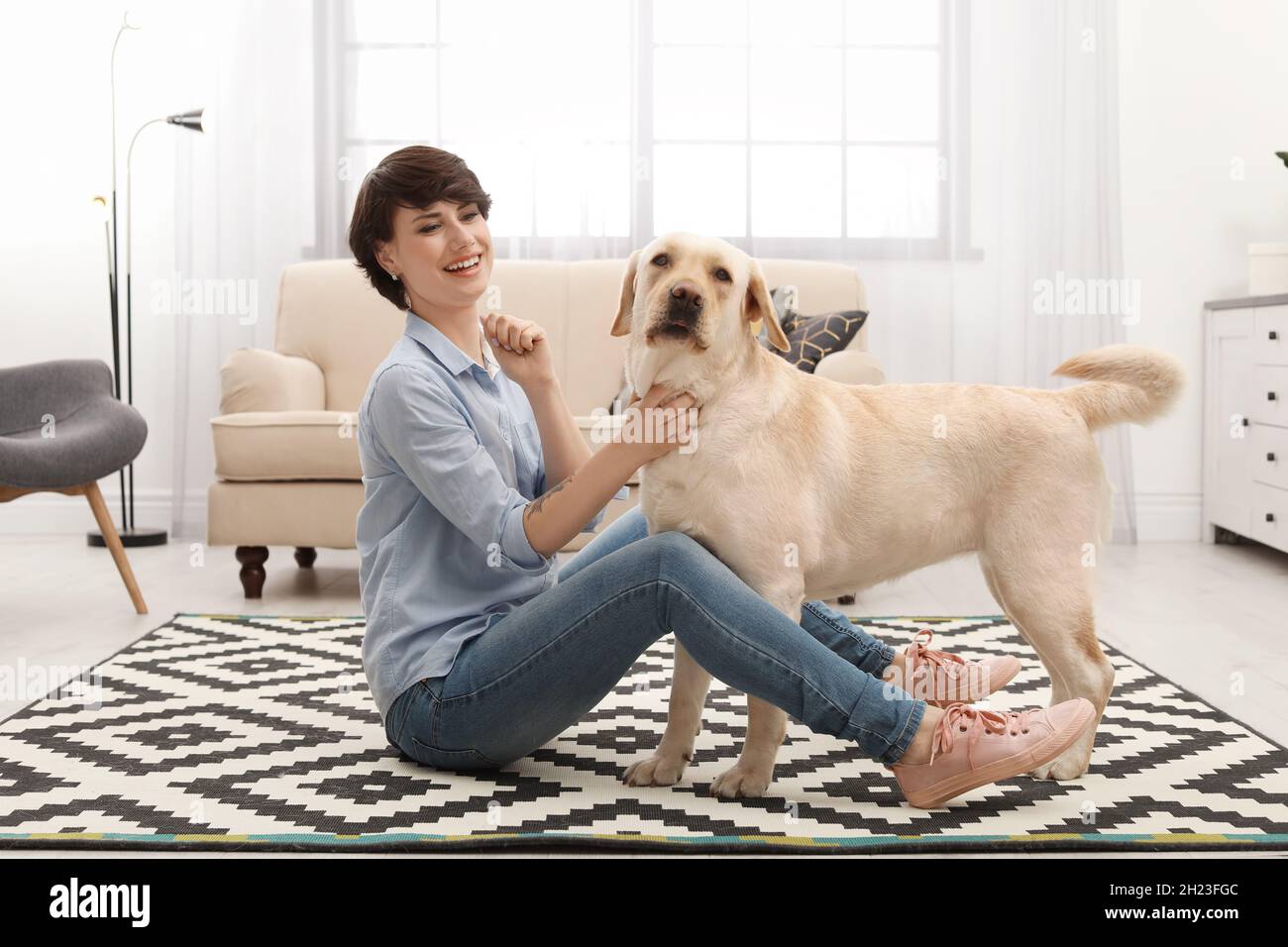 Adorable yellow labrador retriever with owner at home Stock Photo - Alamy