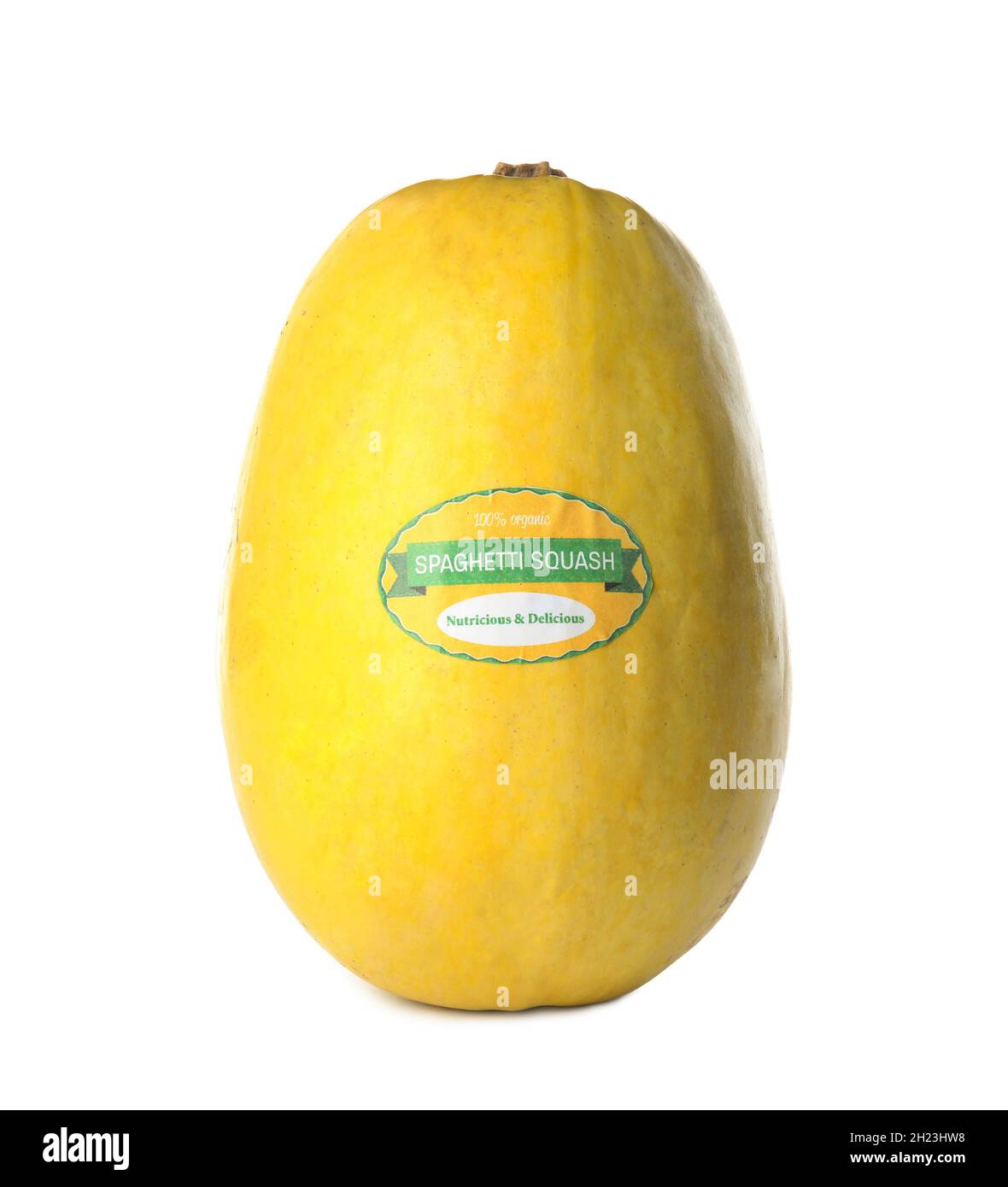 Whole ripe spaghetti squash on white background Stock Photo - Alamy