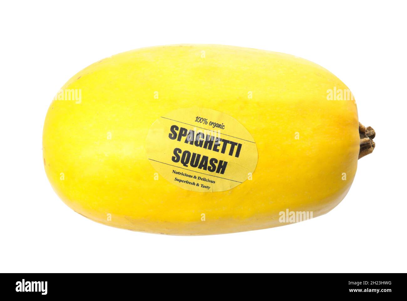 Whole ripe spaghetti squash on white background Stock Photo - Alamy
