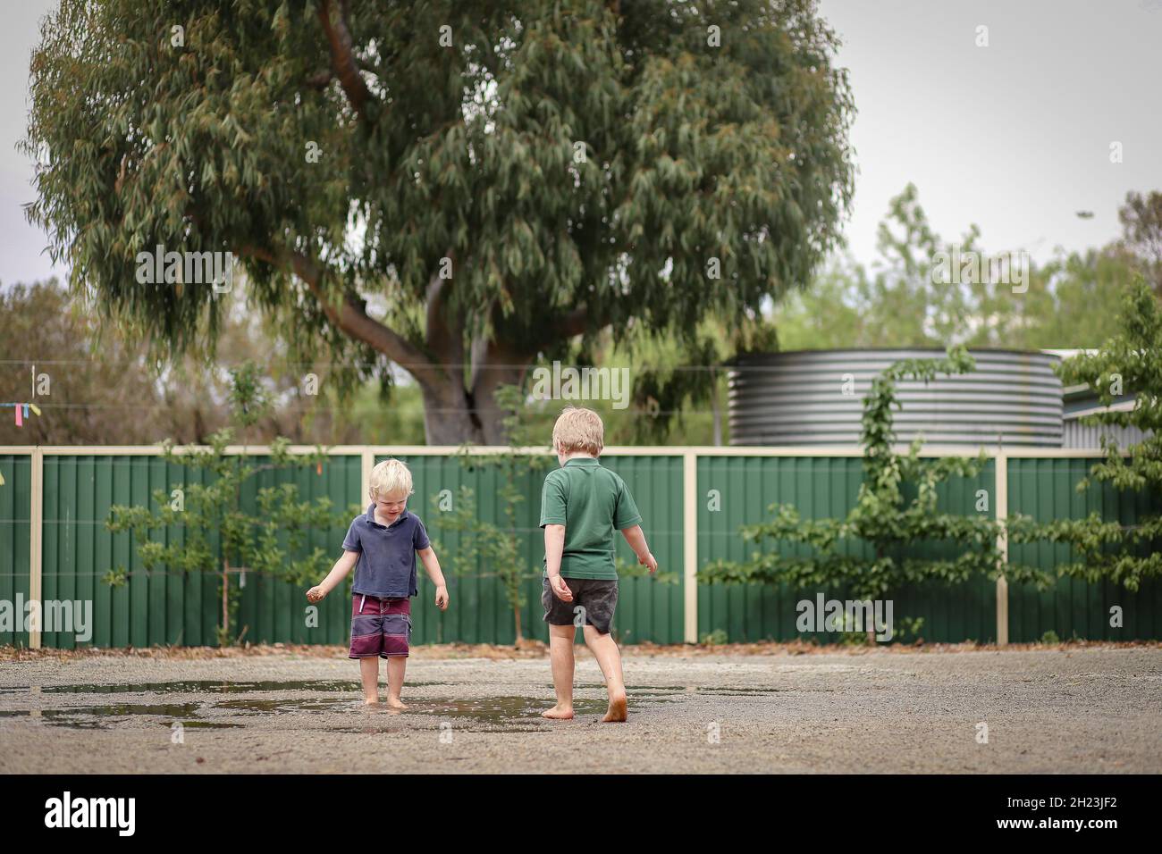 Two little boys jumping and splashing in backyard puddles after rain ...