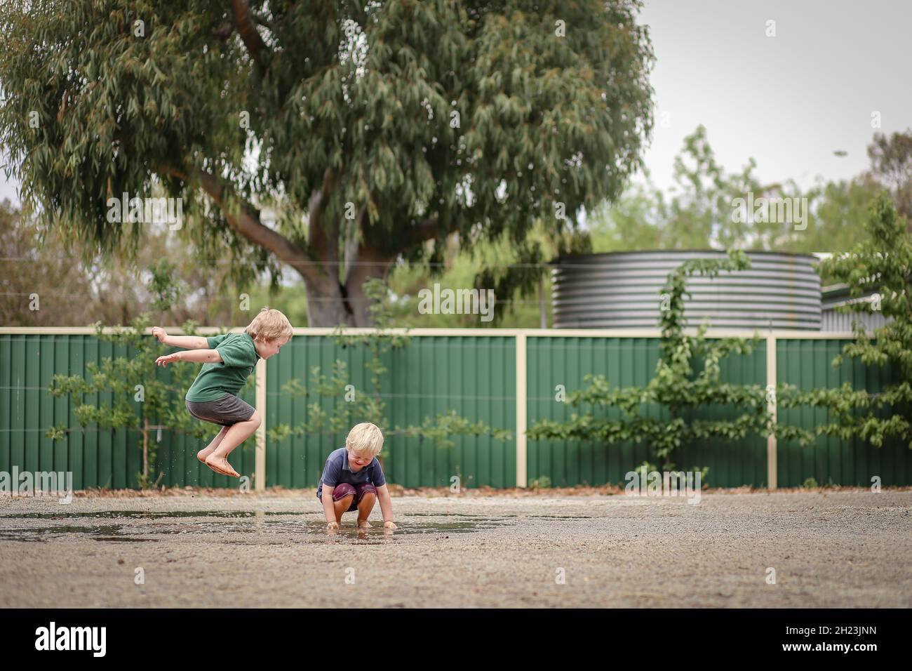 Two little boys jumping and splashing in backyard puddles after rain ...