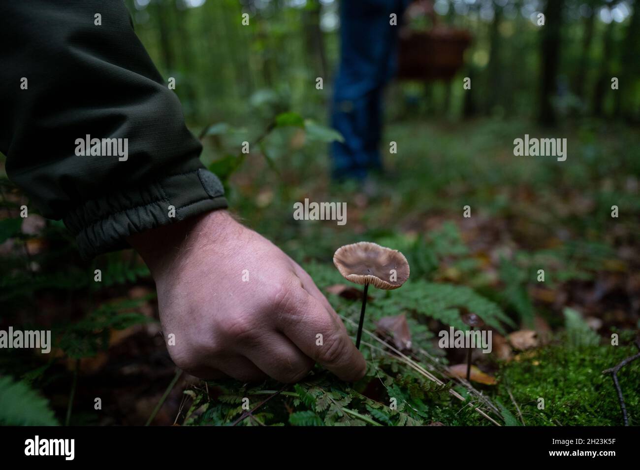 Windling hi-res stock photography and images - Alamy