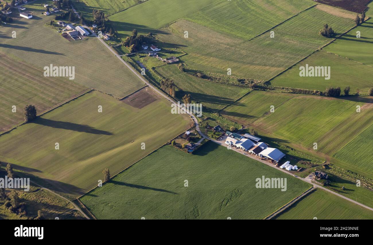 Aerial View of green Farm Field in Fraser Valley Stock Photo - Alamy