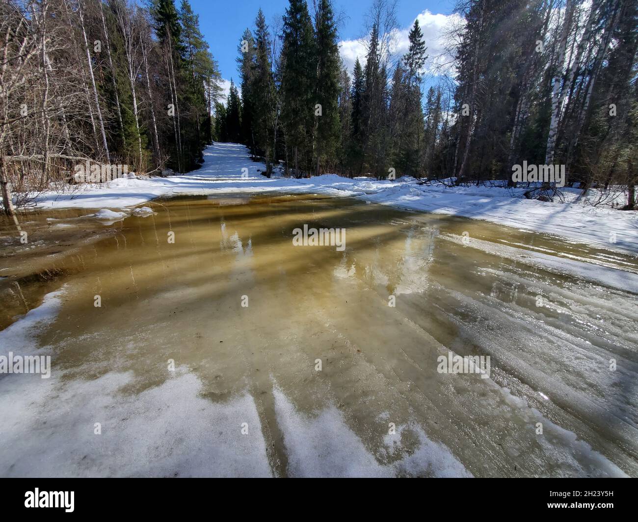Melting snow with big puddle on a nordic ski trail on aspring ...