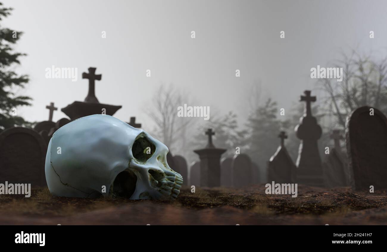 Scary skull in cemetery at foggy morning. Graves around. 3D rendered ...