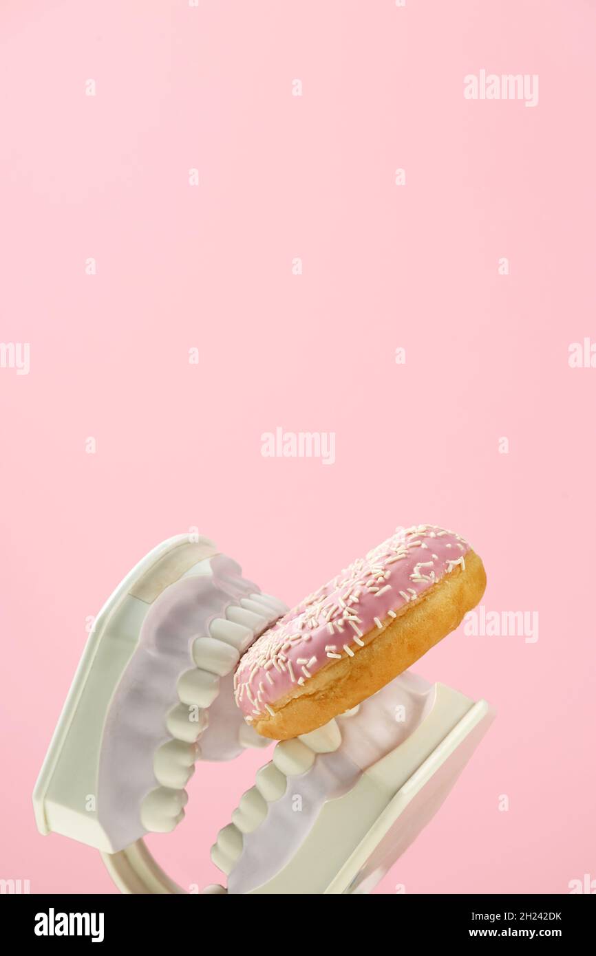 Plastic jaws hold sweet pink donut in teeth. Dental health, dentistry ...