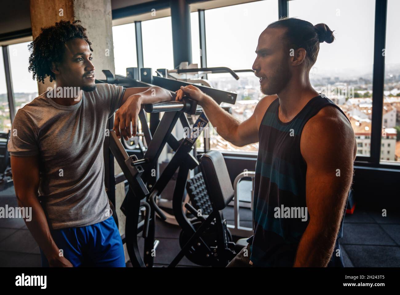 Happy diverse people exercise together in gym to stay healthy Stock ...
