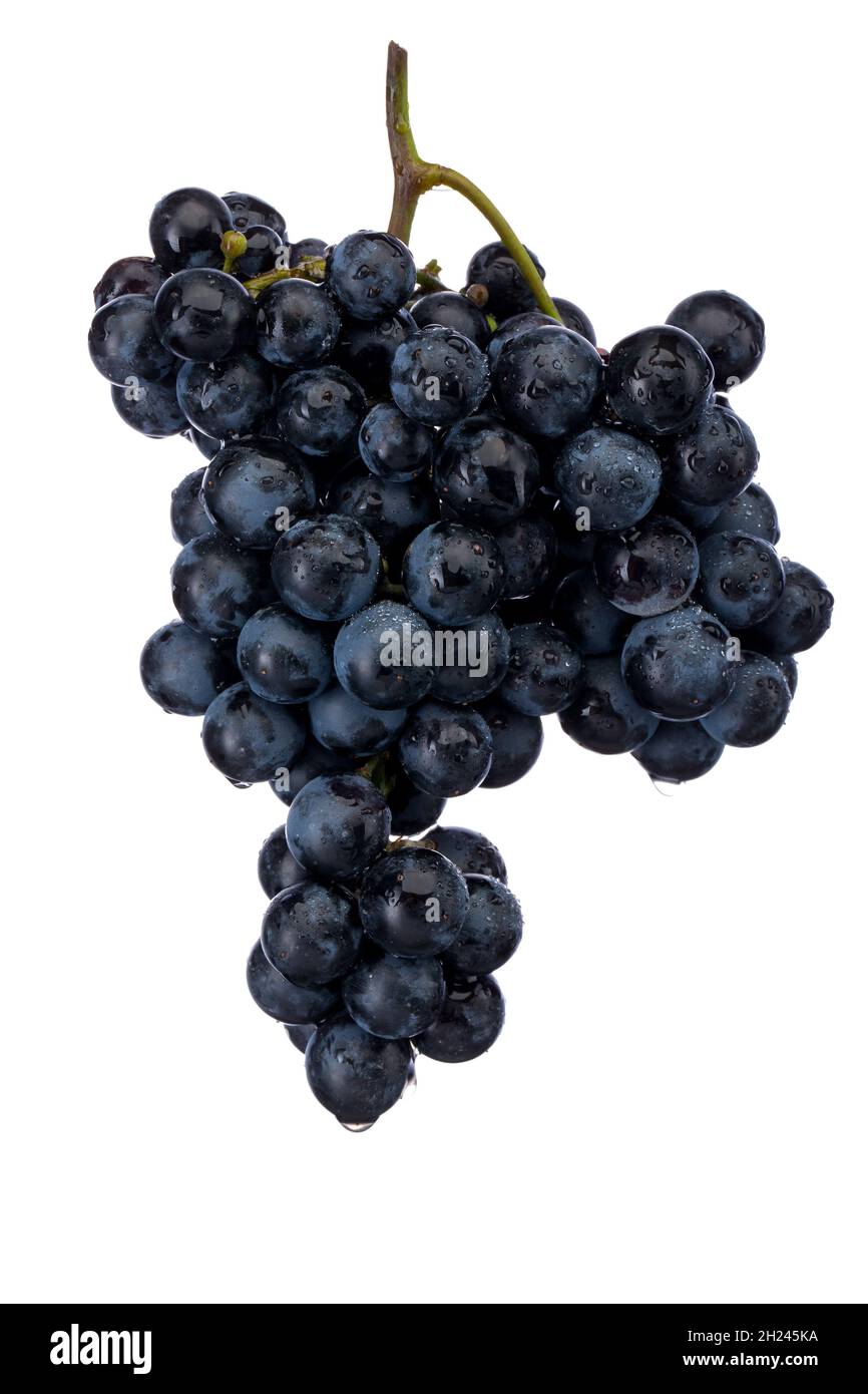 Dark blue grape with leaves isolated on white background Stock Photo ...