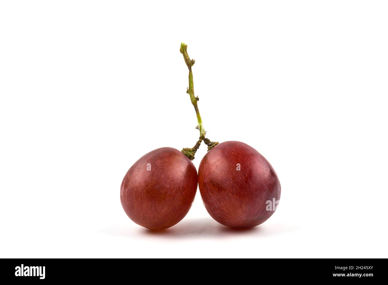 Two berry of red grape isolated on white background Stock Photo - Alamy