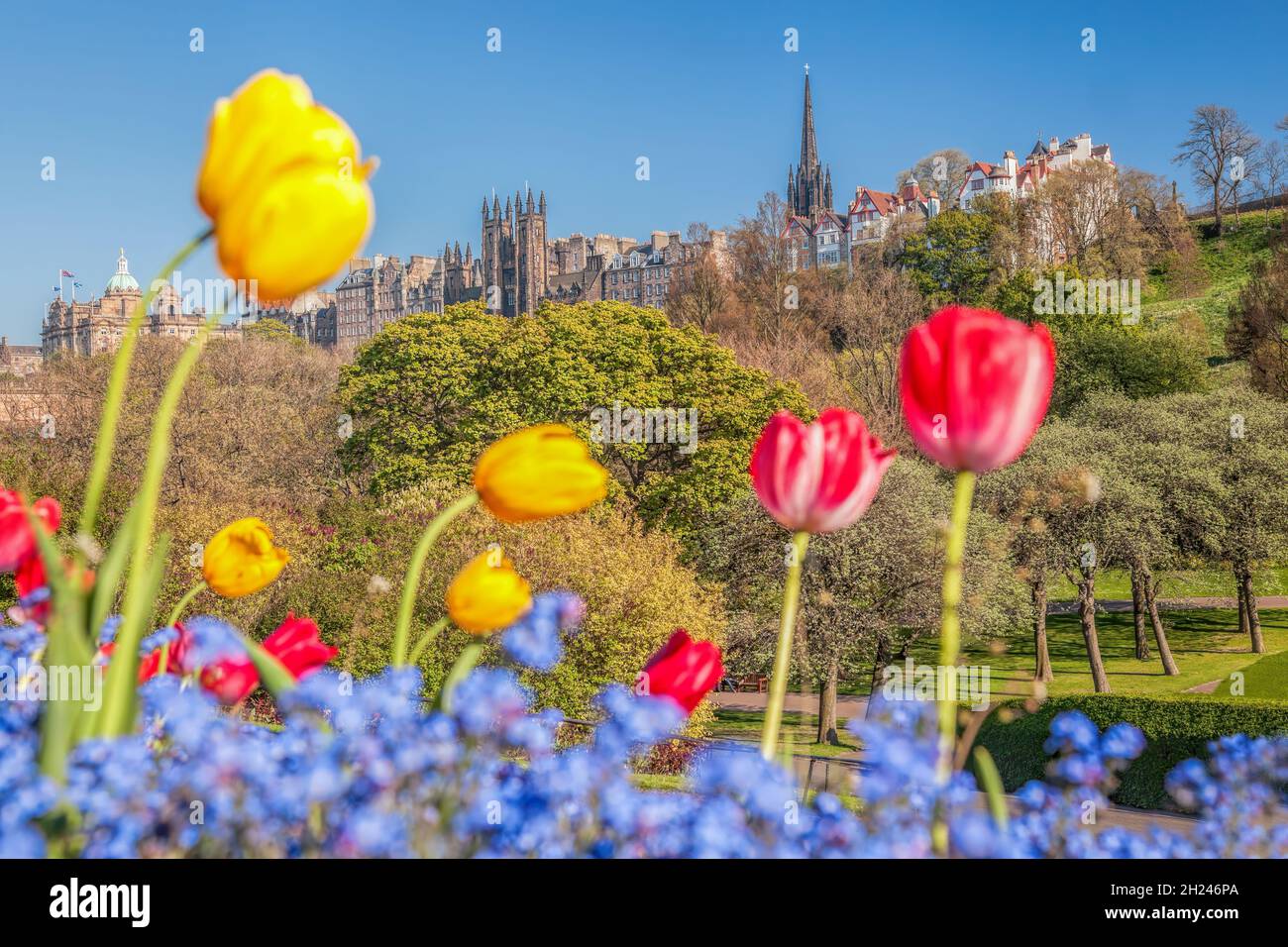 Edinburgh city during springtime with colorful tulips in public park ...