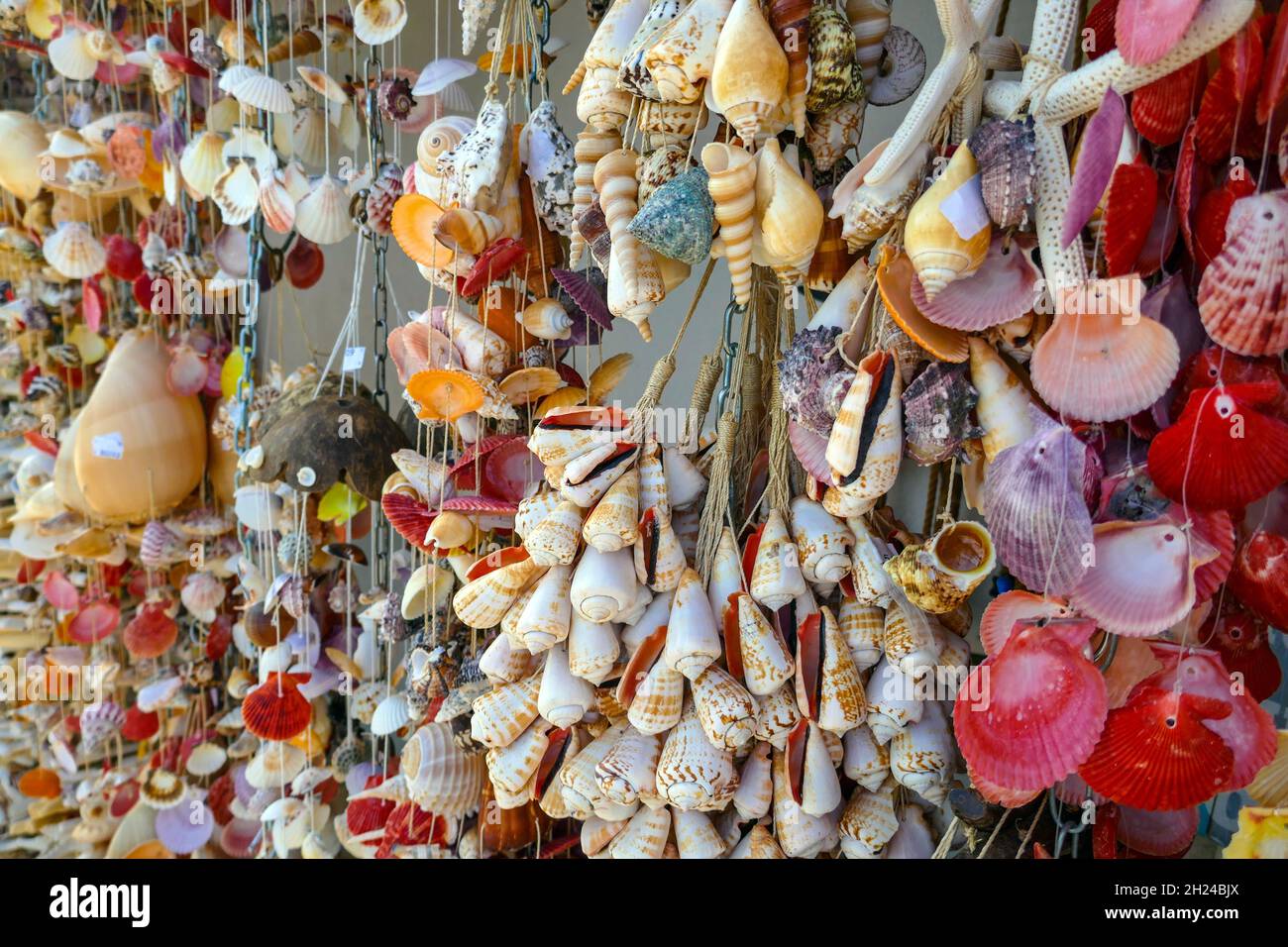 Croatian shells hi-res stock photography and images - Alamy