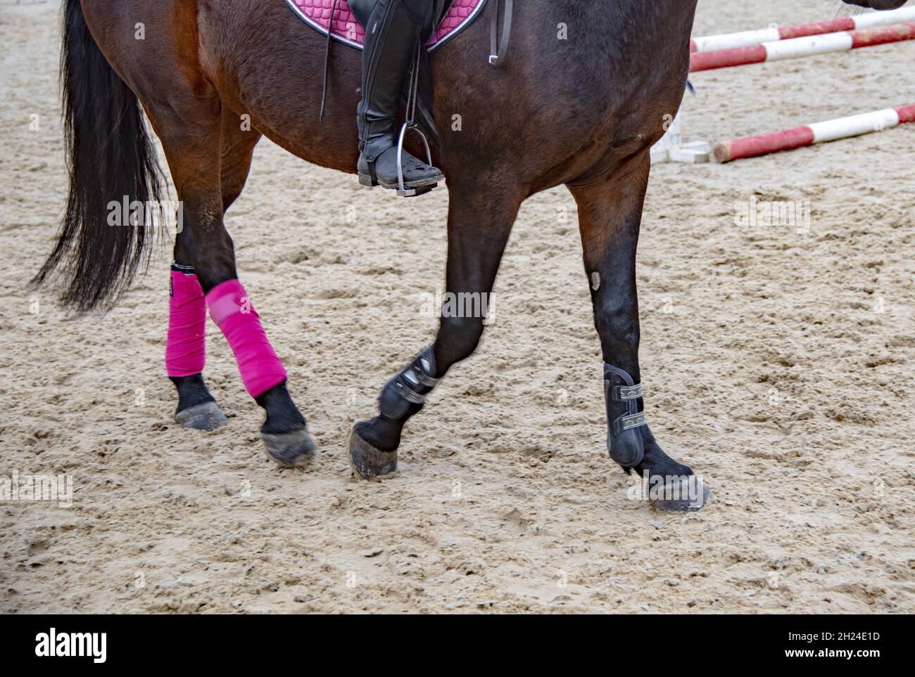 Horse's legs galloping close up hi-res stock photography and images - Alamy