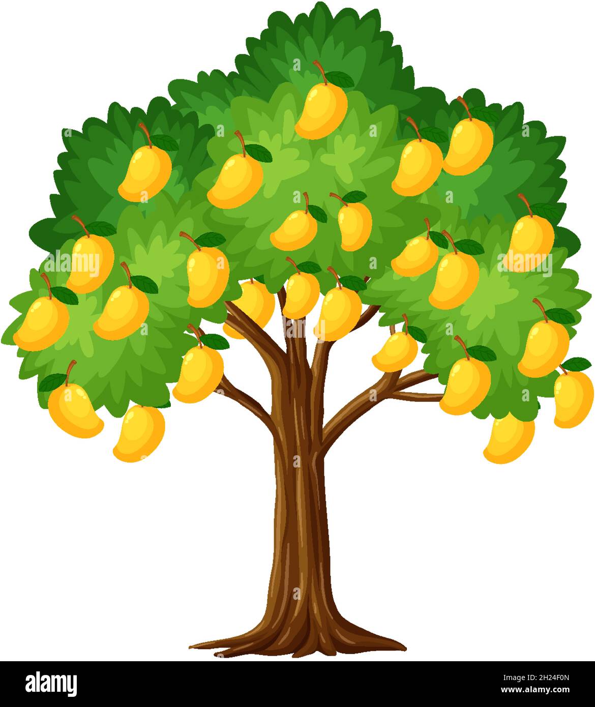 Yellow mango tree isolated on white background illustration Stock ...