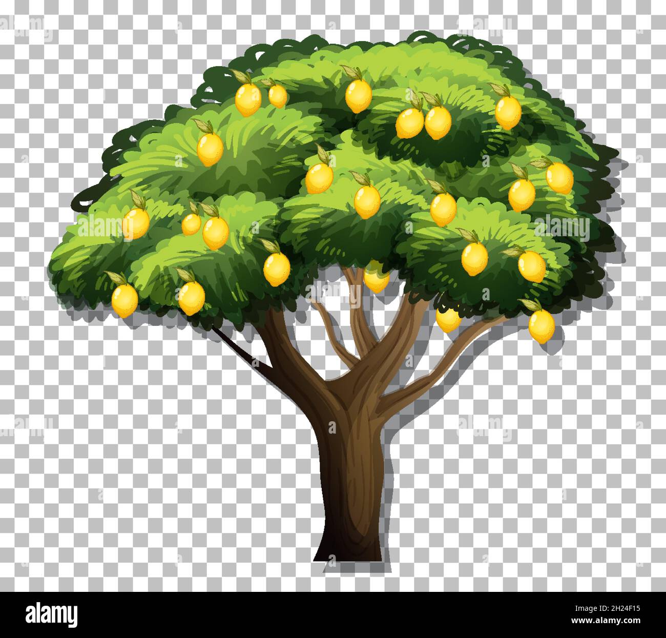 Lemon tree on transparent background illustration Stock Vector Image ...