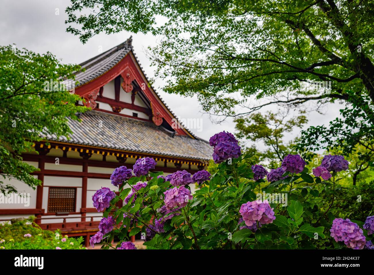 Yatadera temple hi-res stock photography and images - Alamy