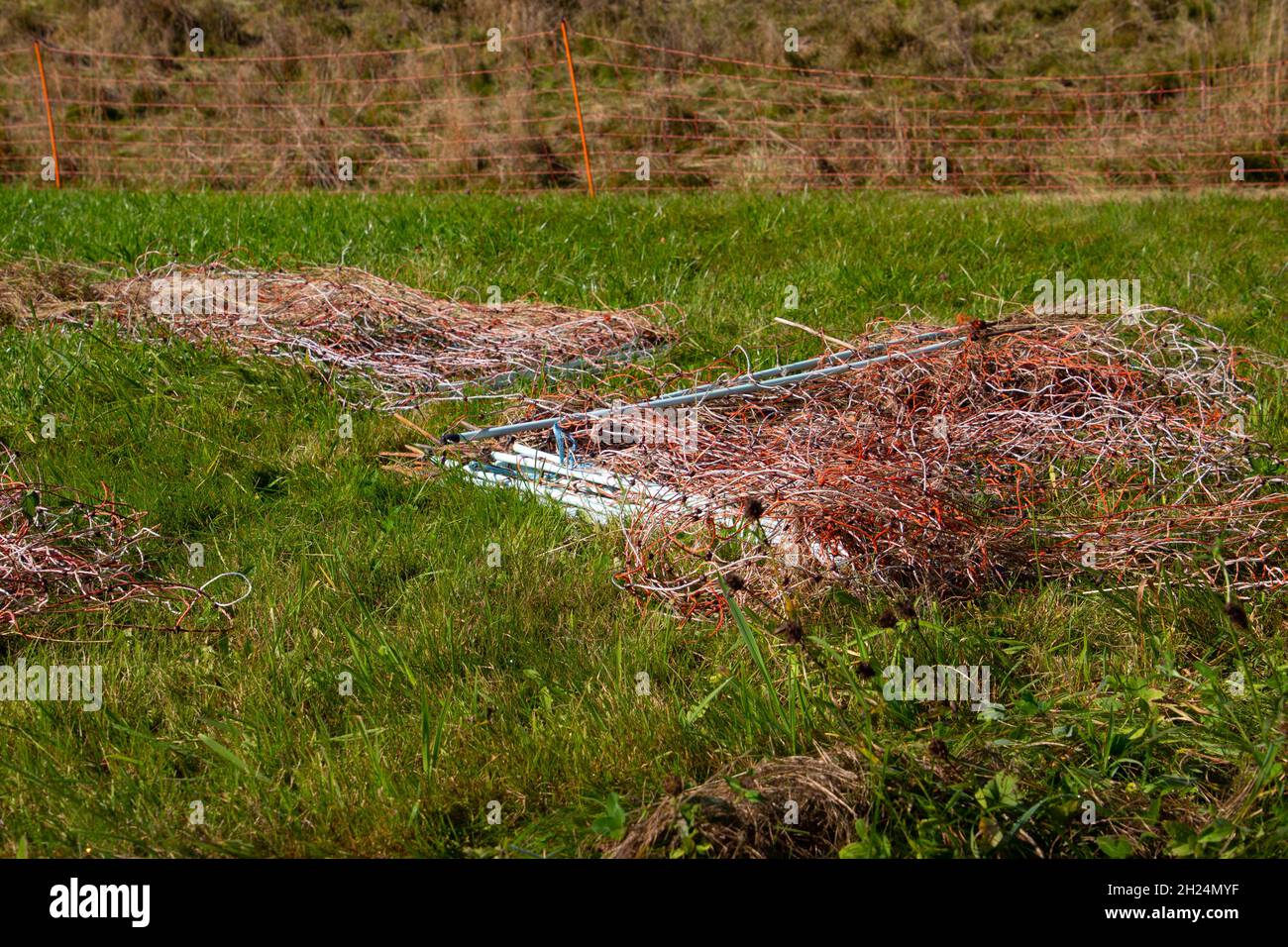 Tangled up hi-res stock photography and images - Alamy