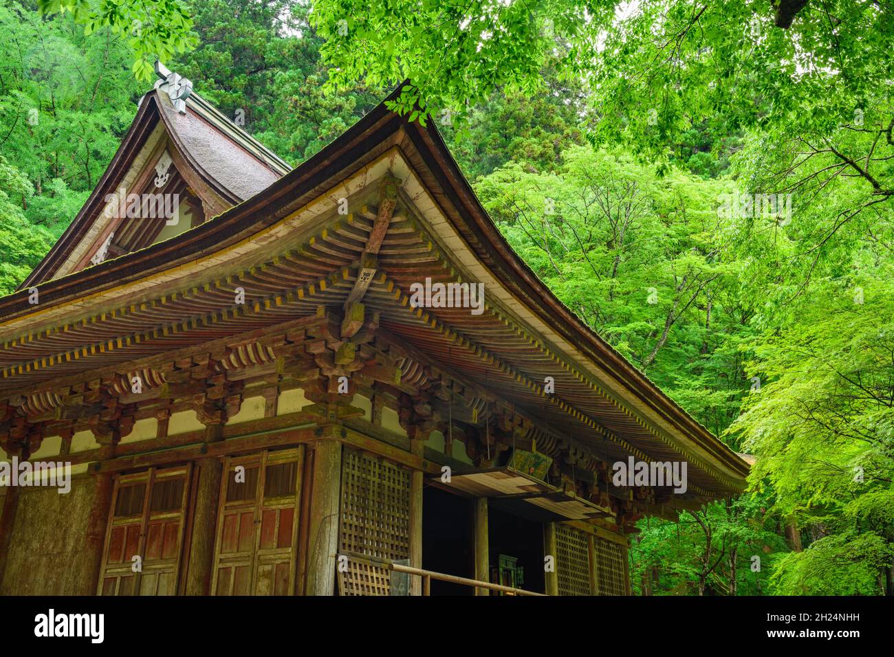 Nara, Japan - 01 July 2019: Muroji Temple Kondo Hall surrounded by ...