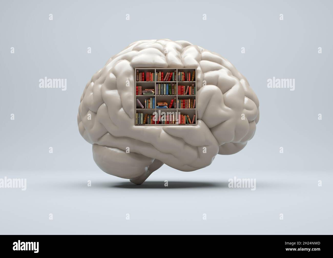 Brain stack books hi-res stock photography and images - Alamy
