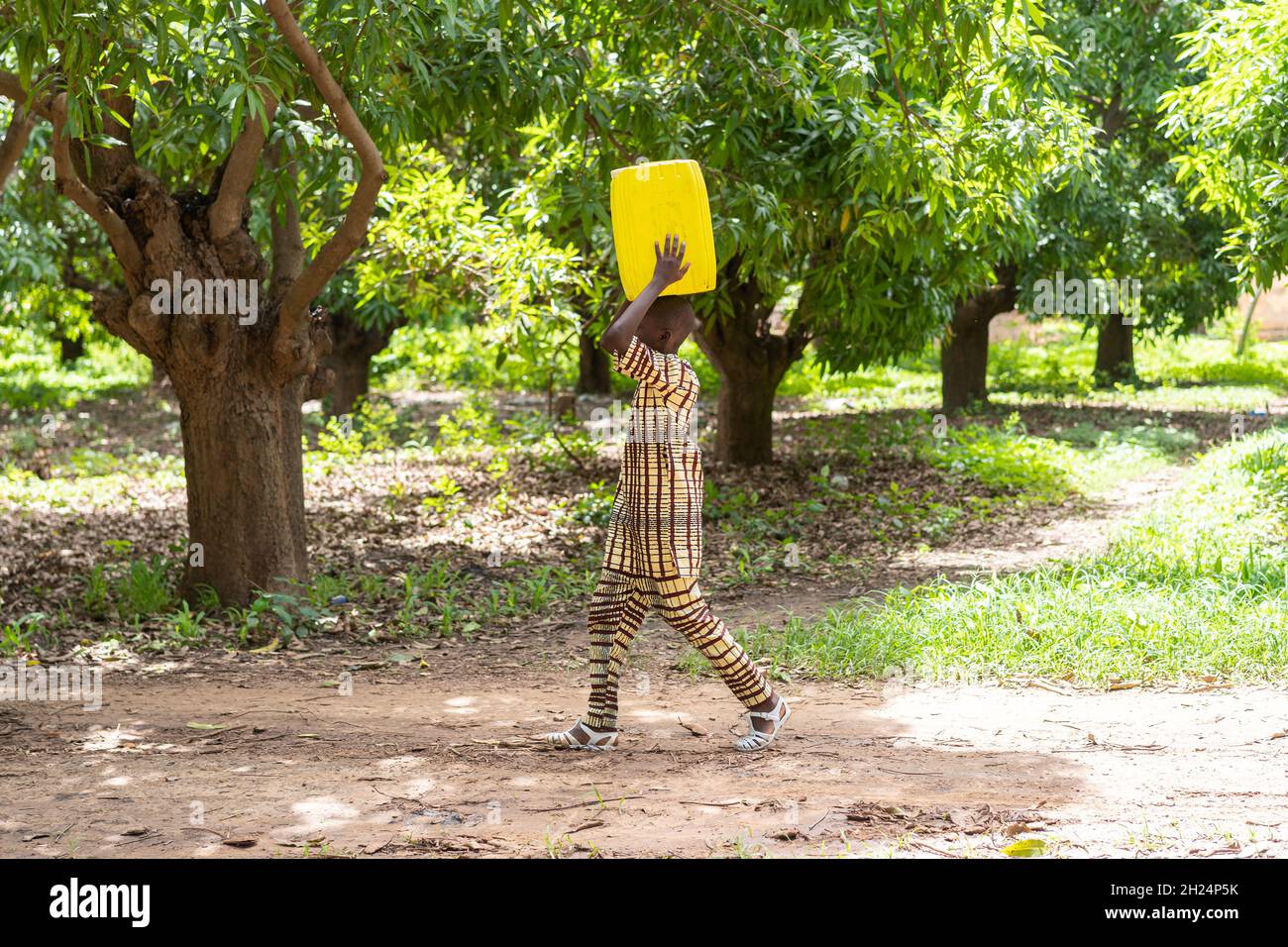 Walking Under Mango Tree Hotel Mango Tree Nearest Adam's Peak,