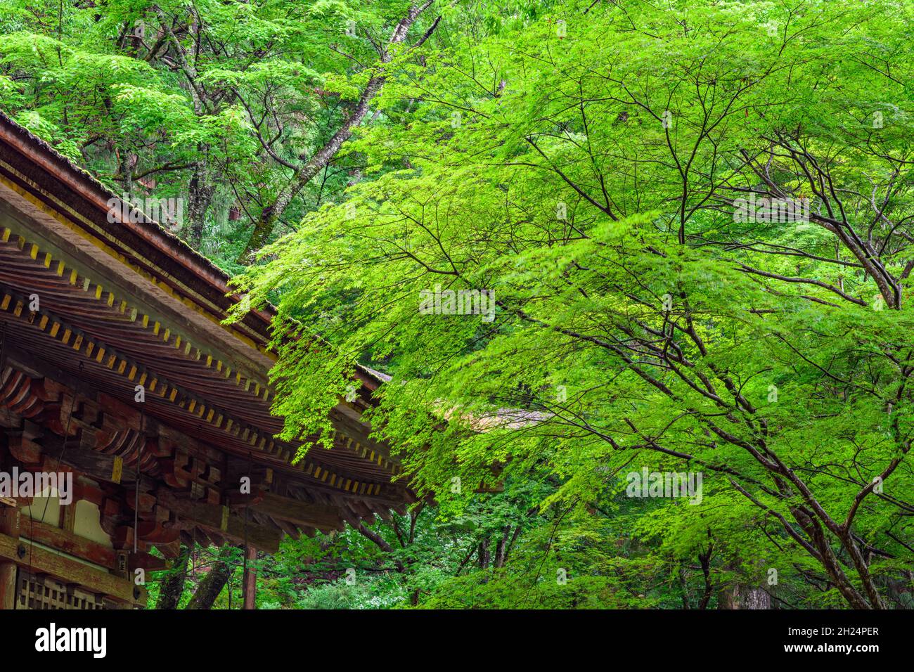 Japan religion worship hi-res stock photography and images - Alamy