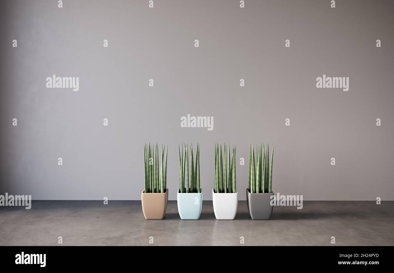 Interior with decorative indoor plants on empty wall background, 3D ...