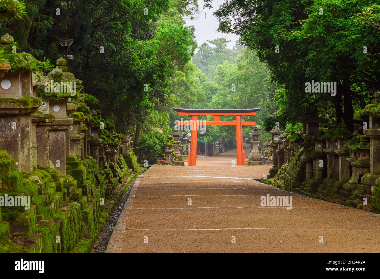 Nara, Japan - 03 July 2019: Red torii gate along pilgrimage road ...