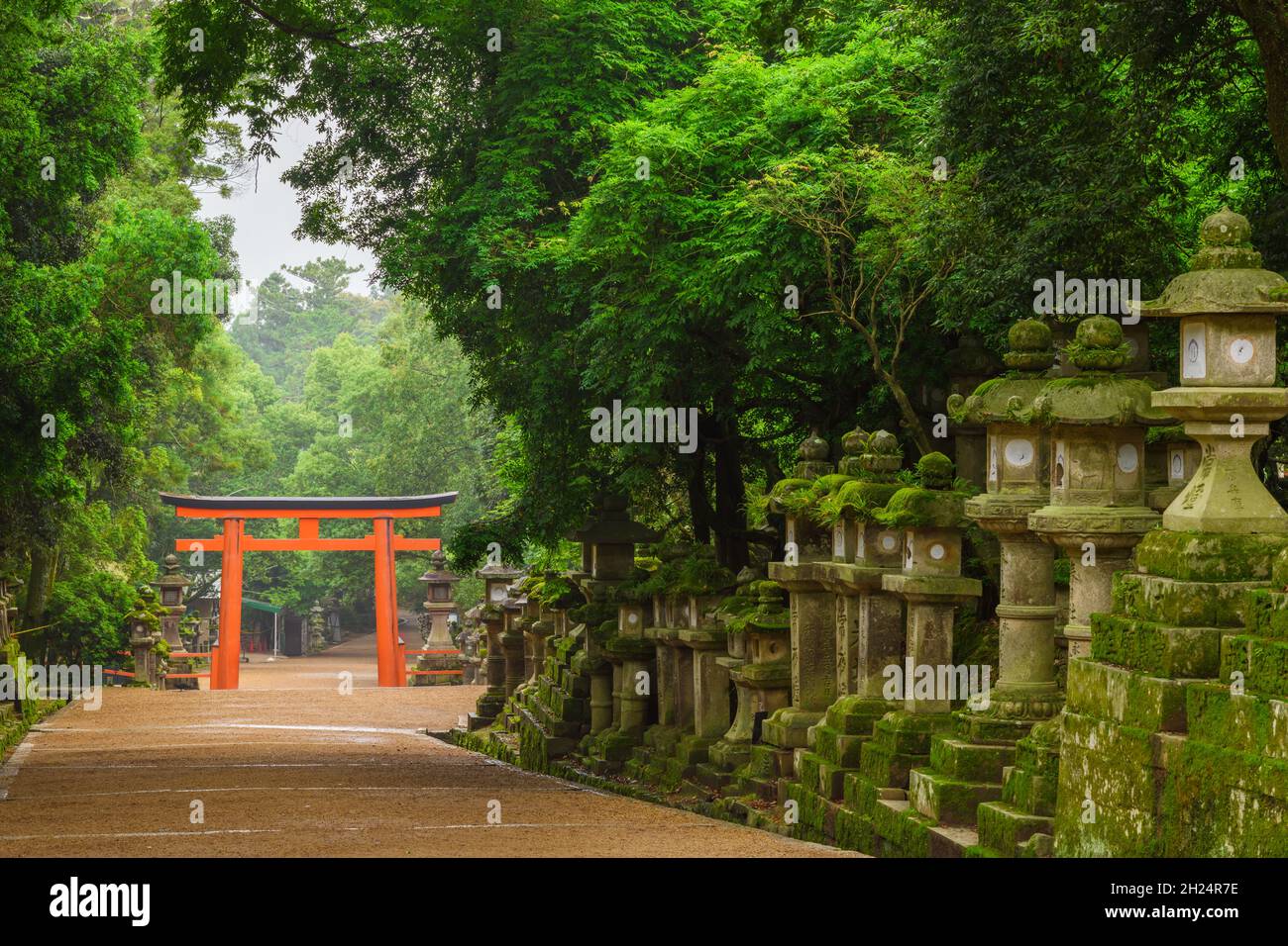 Nara, Japan - 03 July 2019: Red torii gate and stone lanterns along ...
