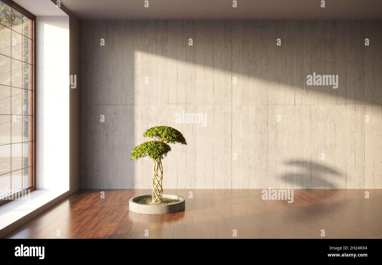 Empty room; plaster wall with bonsai tree in pot; template design; 3d ...