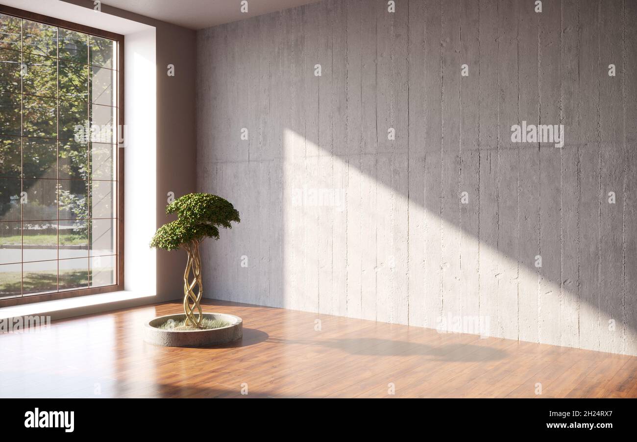 Empty room; plaster wall with bonsai tree in pot; template design; 3d ...