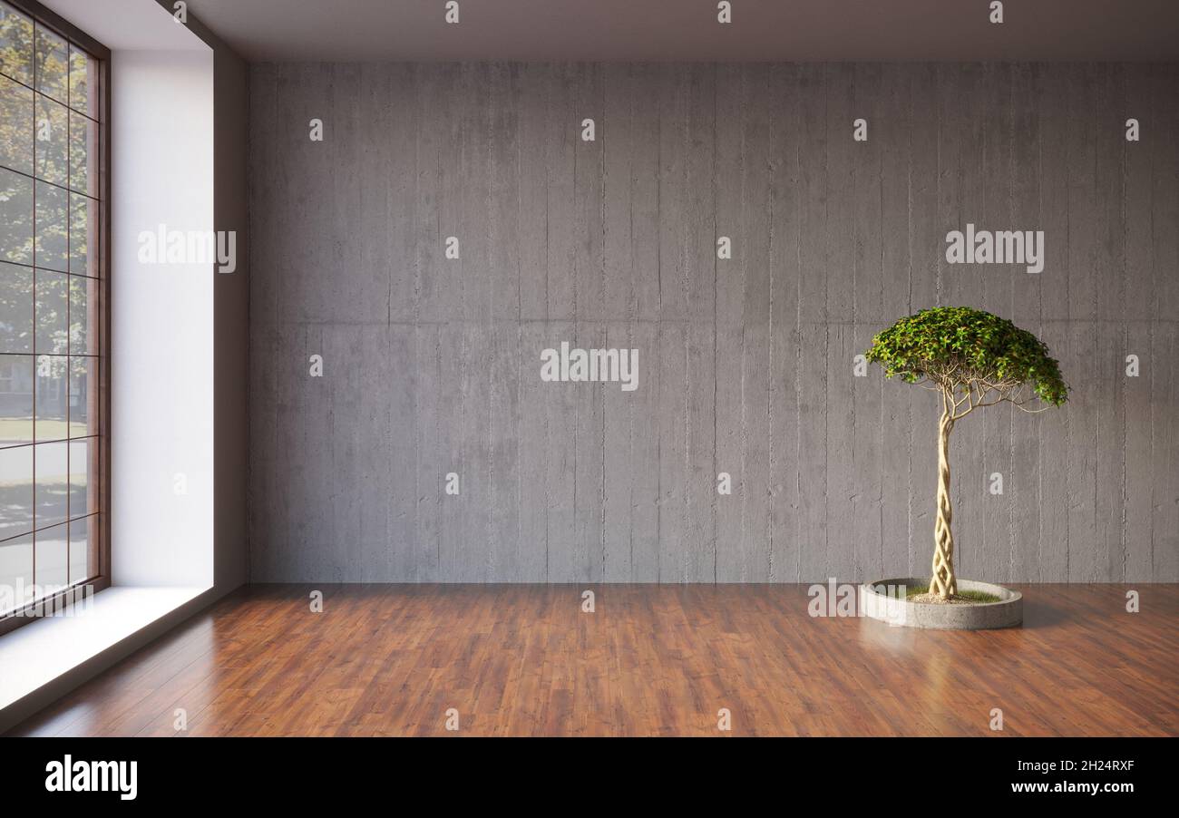 Empty room; plaster wall with bonsai tree in pot; template design; 3d ...