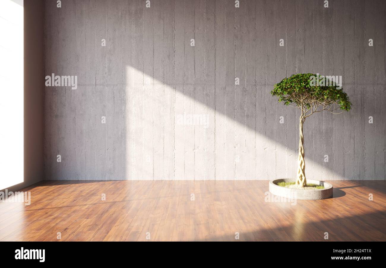 Empty room; plaster wall with bonsai tree in pot; template design; 3d ...