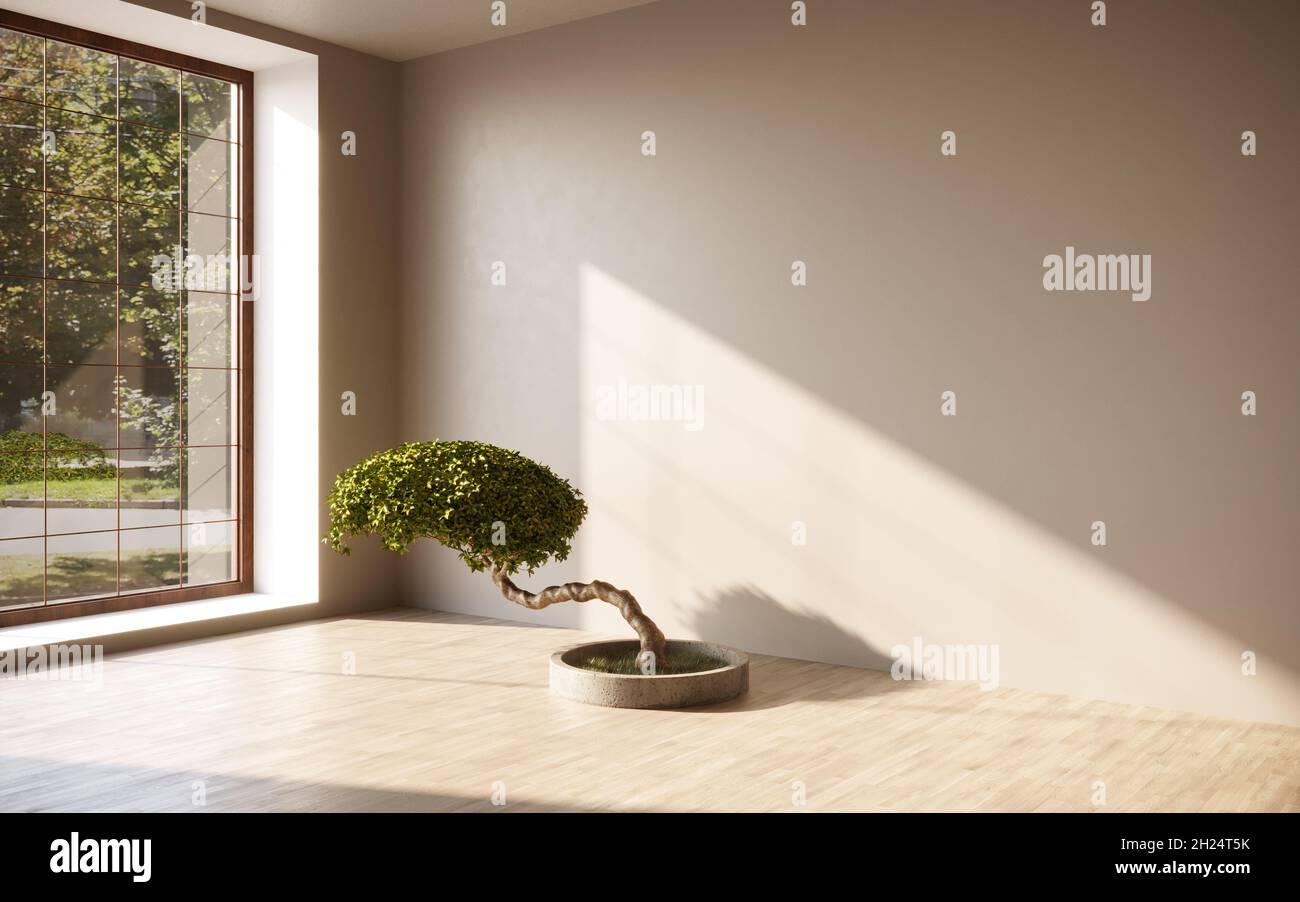 Empty room; plaster wall with bonsai tree in pot; template design; 3d ...