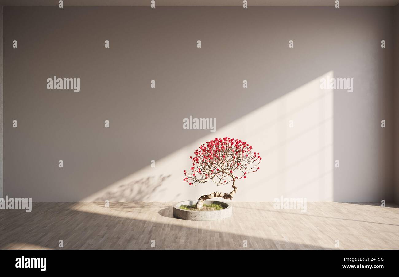 Empty room; plaster wall with bonsai tree in pot; template design; 3d ...