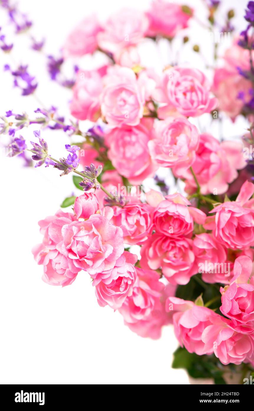 Beautiful Roses Bouquet Flowers Background Stock Photo - Alamy