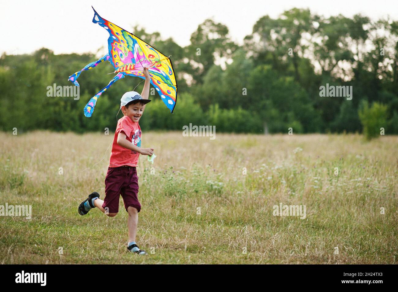 Little boy running with kite in the field in the park Stock Photo - Alamy