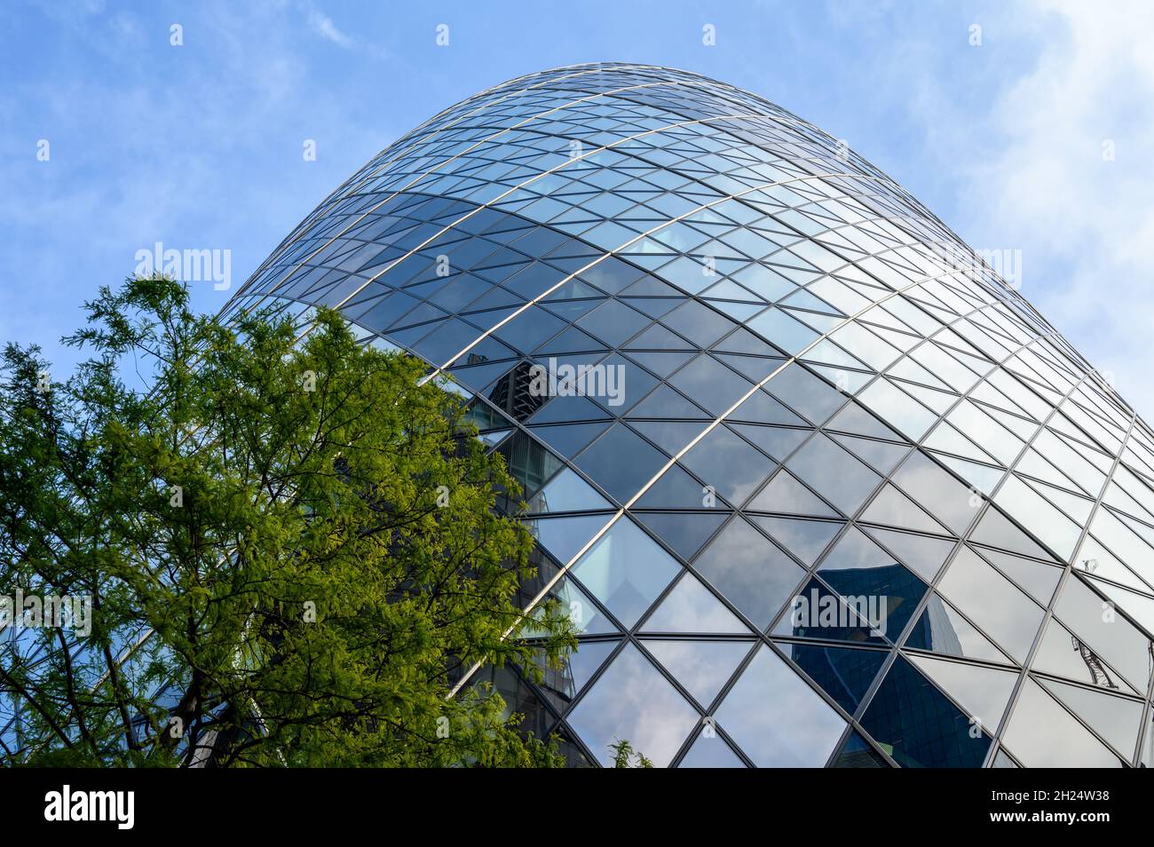A skyward look up the curved facade of The Gherkin building with a tree ...