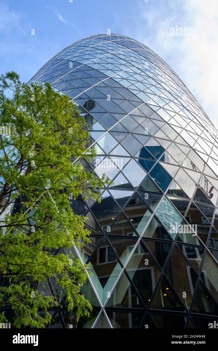A skyward look up the curved facade of The Gherkin building with a tree ...