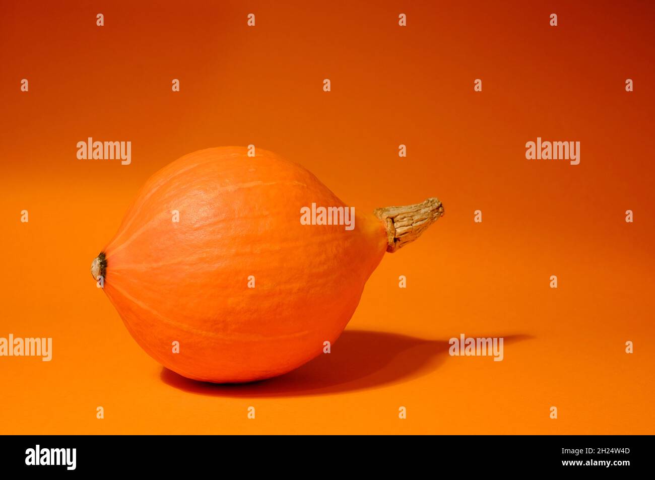 Gourd variety hi-res stock photography and images - Alamy