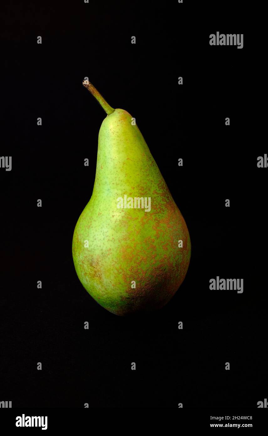 conference pear on dark black background Stock Photo - Alamy
