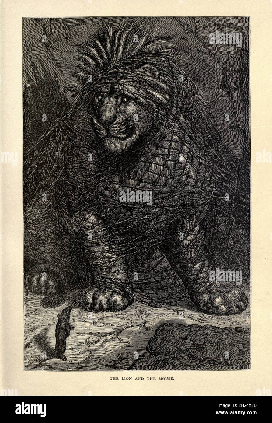 The Lion and the Mouse from AEsop's fables Illustrated by Joseph ...