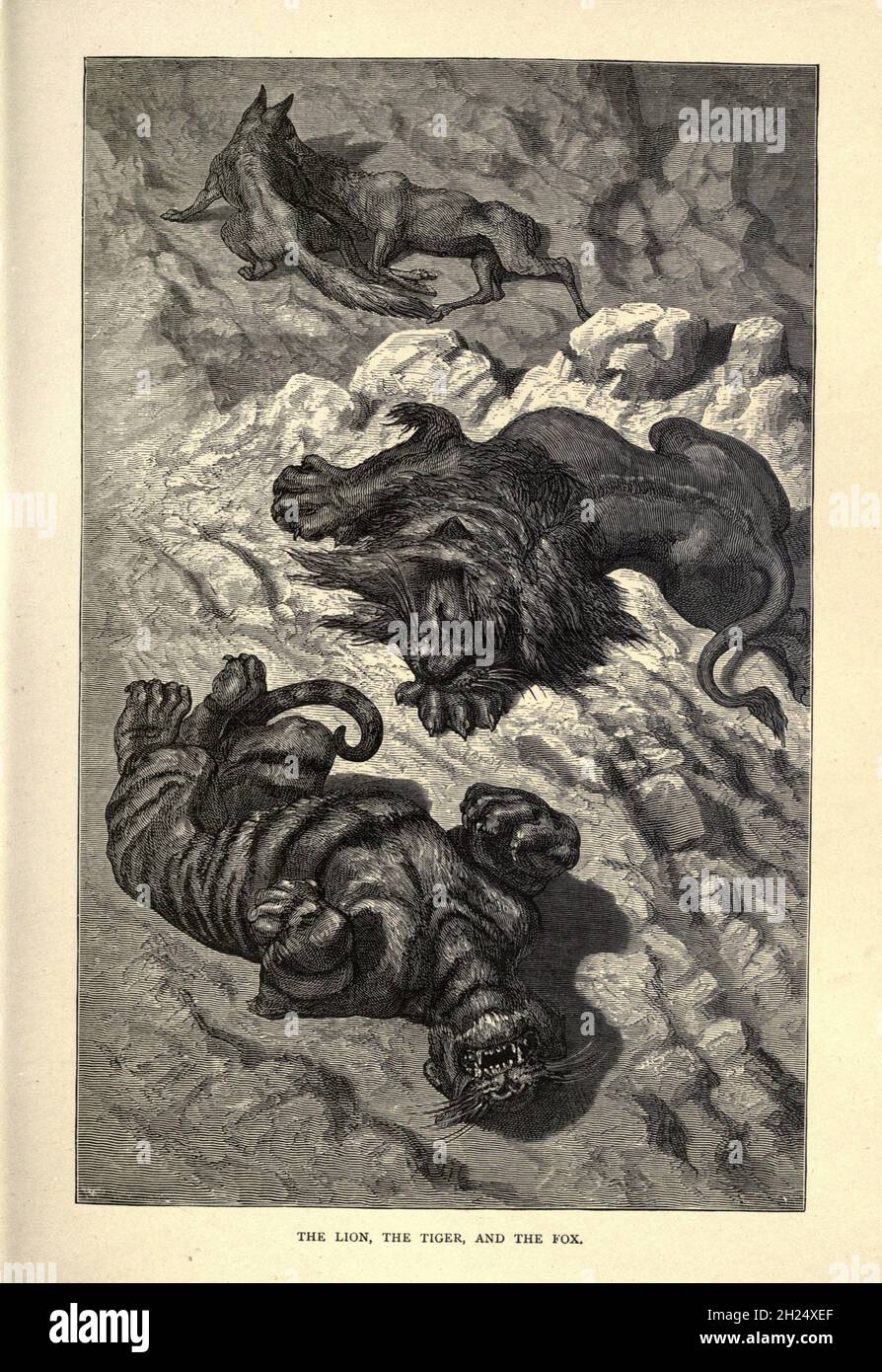 The Lion, Tiger and the Fox from AEsop's fables Illustrated by Joseph ...