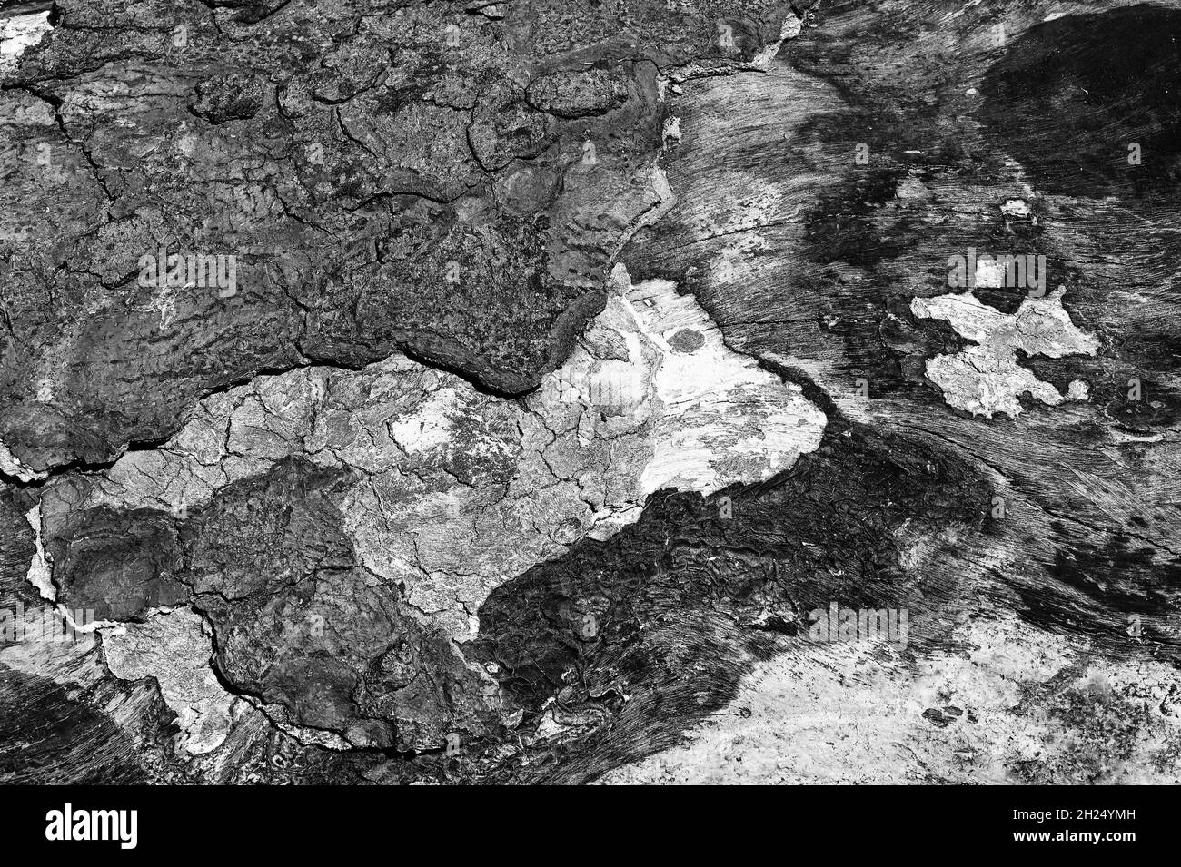 Skin impression Black and White Stock Photos & Images - Alamy