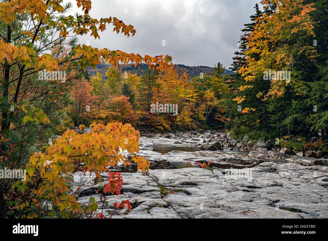 Autumn at the Swift river in New Hampshire Stock Photo - Alamy